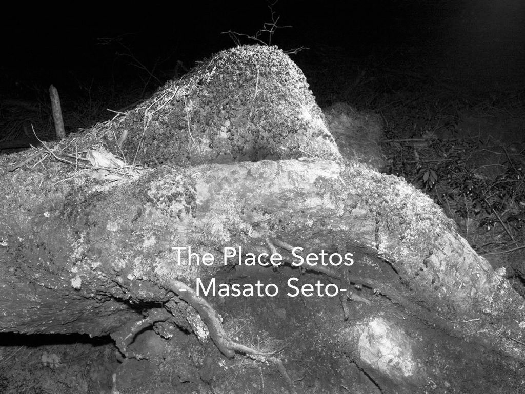The Place Setos